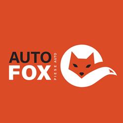 AutoFox | Magazin de piese şi accesorii auto, Sebiş